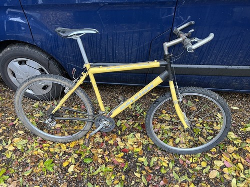 Raleigh Max Mens Mountain Bike In Yellow | eBay UK