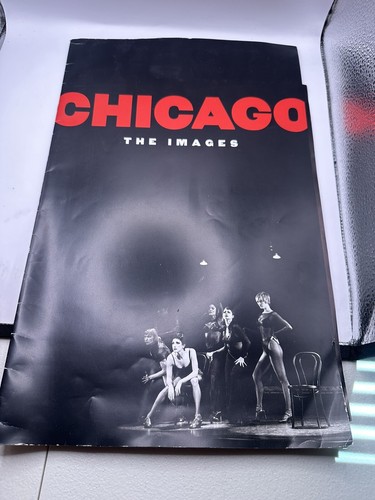 Rare The Chicago Music Scene Book With Poster | eBay