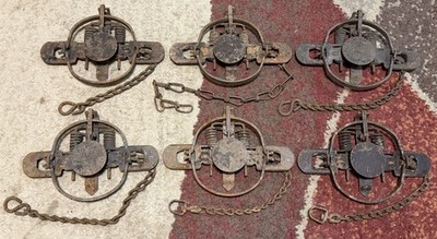 (6) Victor #1 1/2 Round Pan Coil Spring Traps Mink Raccoon Muskrat Fox ...