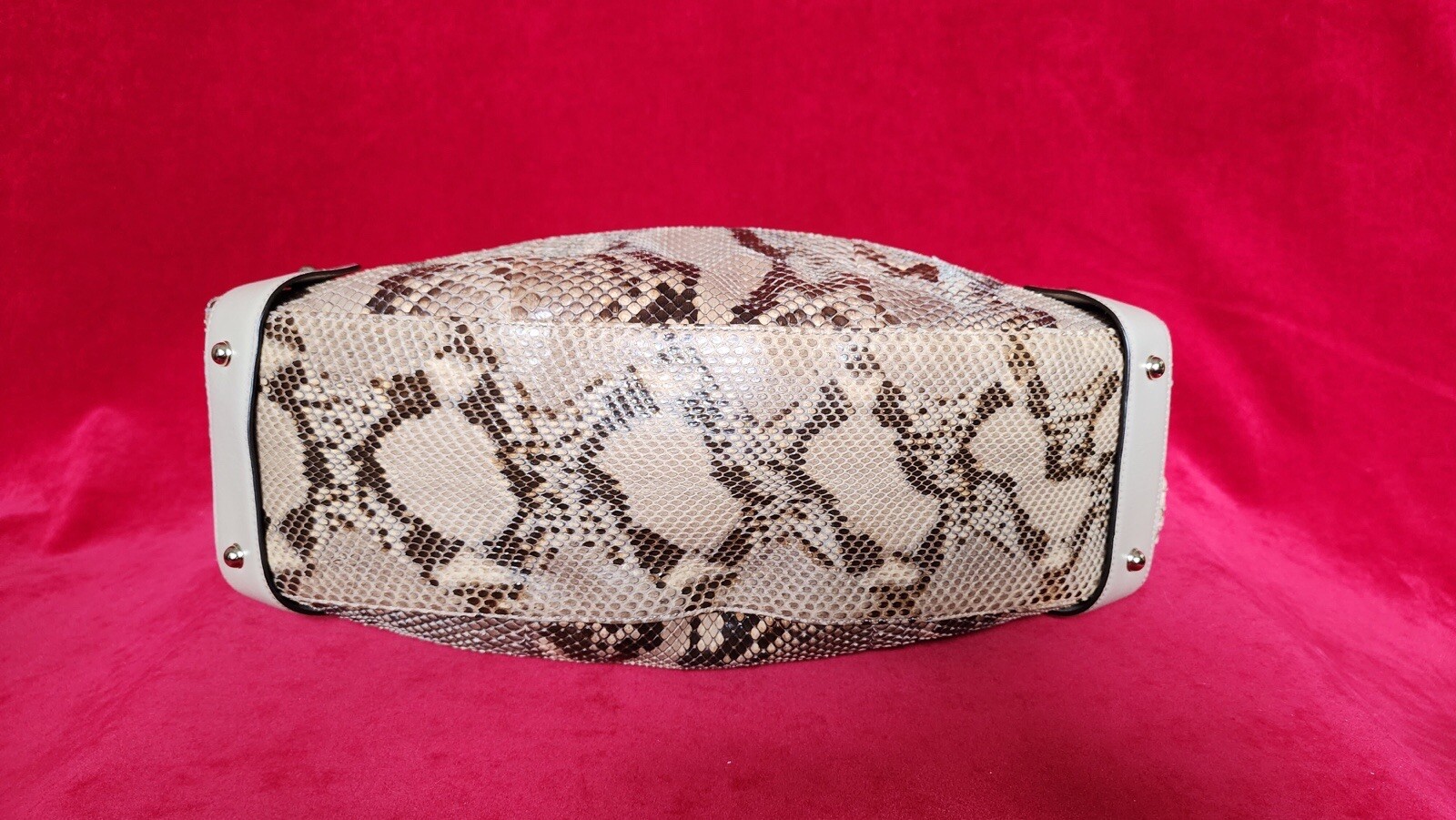 Gucci Pelham Medium Beige Python Shoulder Bag Retail $3750 | eBay