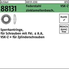 500er PACK(Stk) 088131003000100000 Sperrkantring R 88131 VSK-Z 10 x16,1 ...