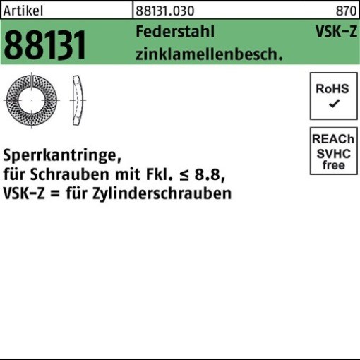500er PACK(Stk) 088131003000100000 Sperrkantring R 88131 VSK-Z 10 x16,1 ...