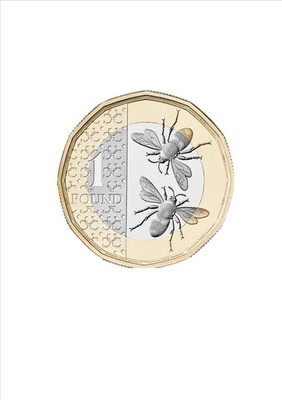 £1 Coin One Pound King Charles BEES 2023 LOT a | eBay UK
