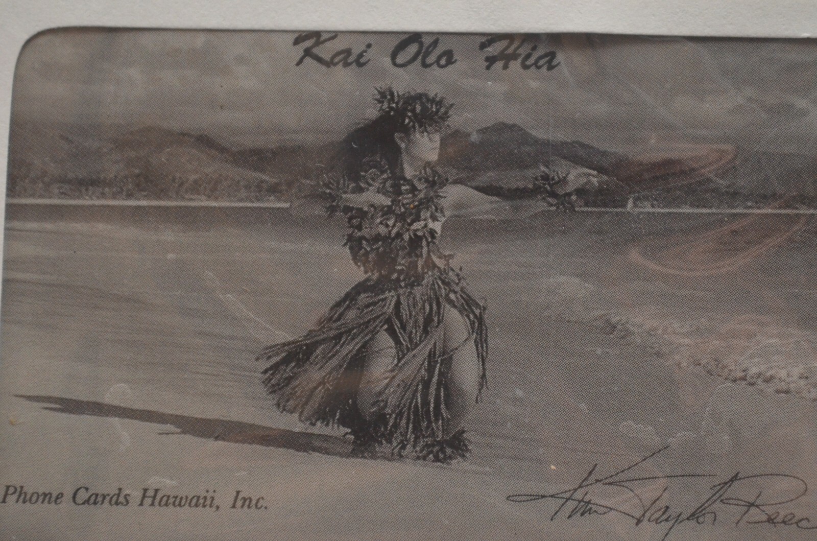 Kim Taylor Reece Kai Olo Hia Hula Kahiko Collection Phone Card SEALED ...
