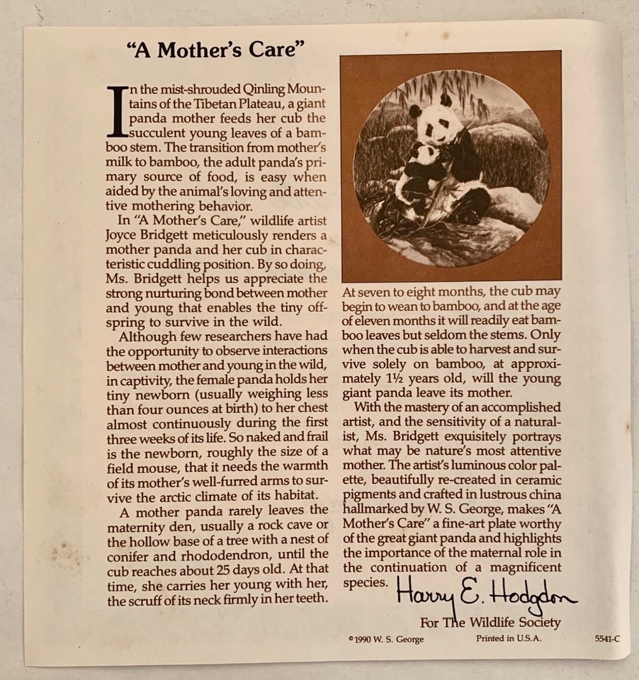 W. L. George Plate "a Mothers Care" - Joyce Bridgett The Secret World ...