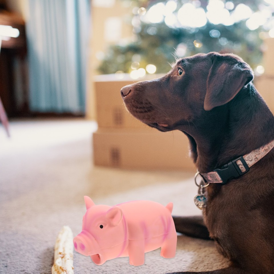 Pig Shape Latex Dog Chew Toy Squeaky Pet Toy for Small And Medium Dogs ...