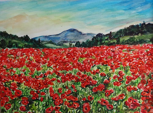 WILD RED POPPIES Flowers Field Landscape Original Watercolor Painting ...