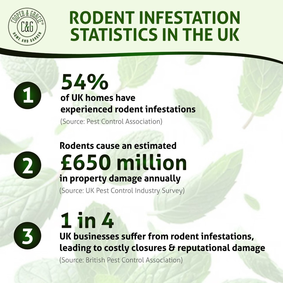 Natural Rodent Repellent 500ML Natural Alternative to Mice Poison | eBay UK