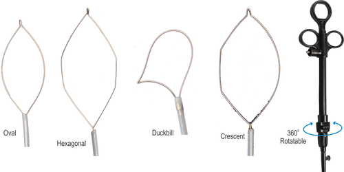 GASTROENTROLOGY Polypectomy Snare Rotatable Sterile 25mm PACK OF 5pc ...