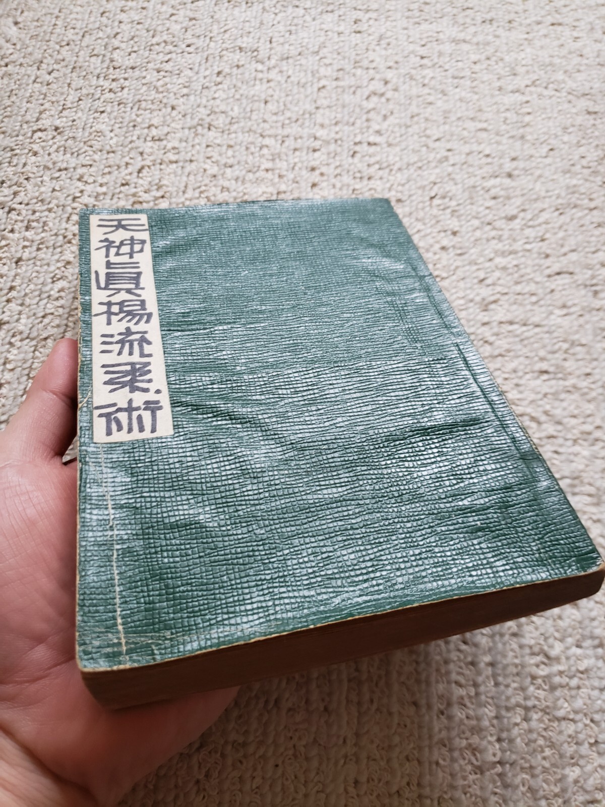 Antique 1913 Illustrated Tenjin Shinyo-ryu Jujutsu Preface; Jigoro Kano ...