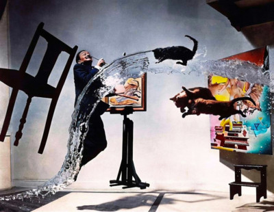 Dali Atomicus Surreal Easels Cats Water Jumping Photo Poster Art Print ...