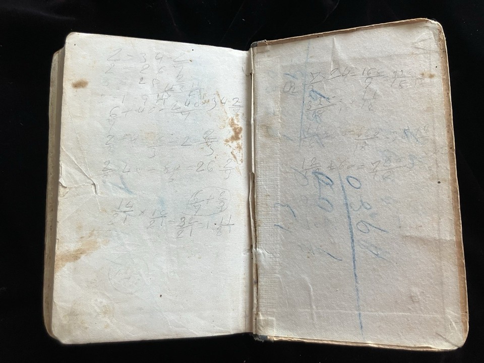 Ray's Practical Arithmetic By Induction & Analysis Joseph Ray, MD RARE ...