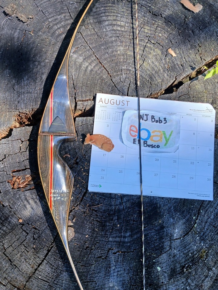 Vintage ben Pearson Archery Spectre recurve 45# | eBay