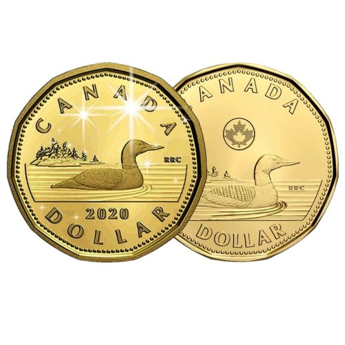 🇨🇦 Rare Canada Beautiful Loonies $1 Dollar Coins, Proof & Brilliant UNC ...