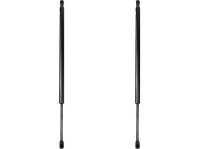 Liftgate Lift Support Set For 2017-2019 GMC Acadia 2018 QH613GW | eBay