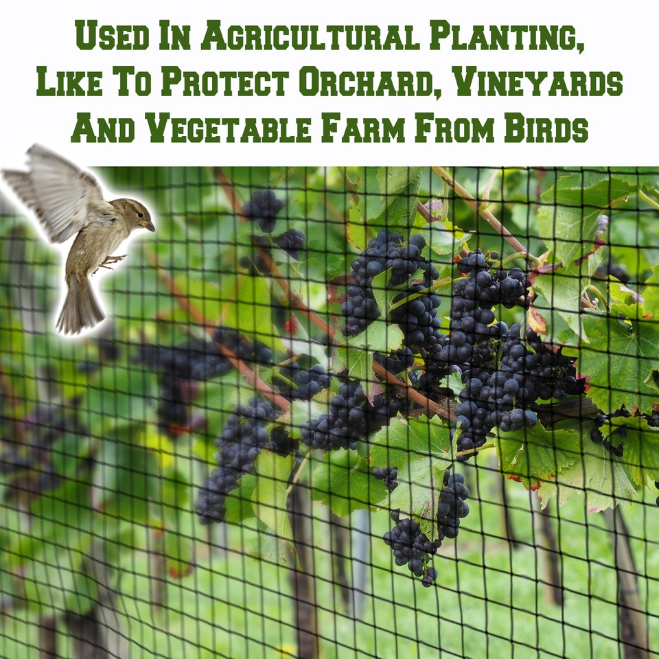 Multi-size Anti Bird Netting Bird Barrier Poultry Aviary Net Pens 2 ...