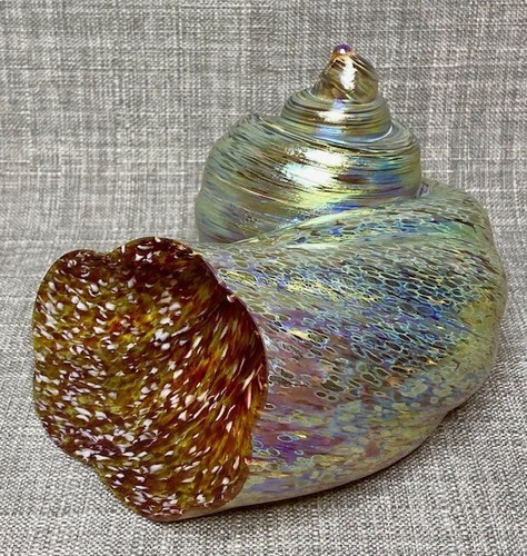 Michael Cohn - Stone Sea Shell Paperweight Iridescent Hand Blown Glass ...