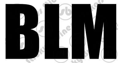 Black Lives Matter Sticker BLM Text 3 Inch Vinyl Sticker | eBay