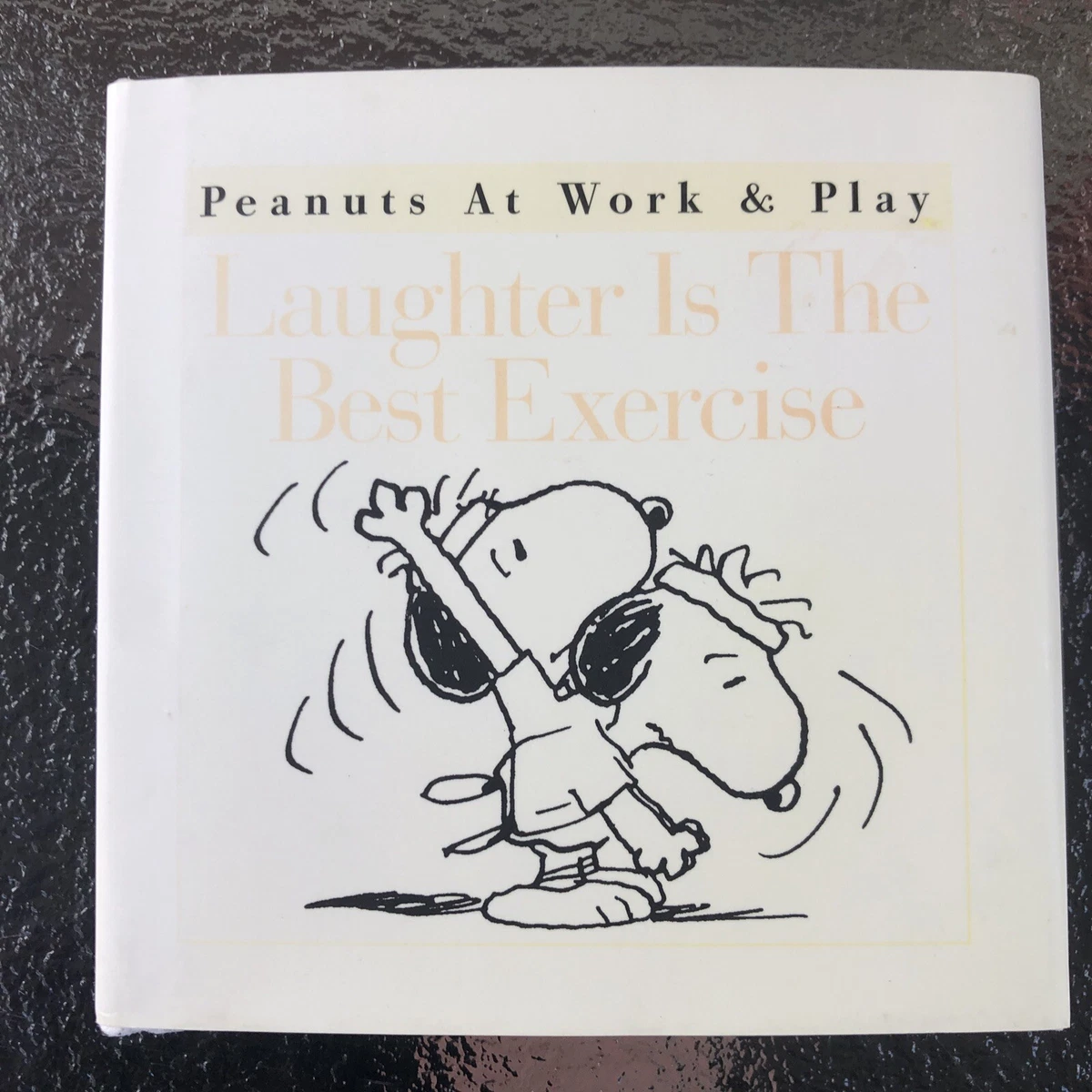 Snoopy Good Writing Is Hard Work