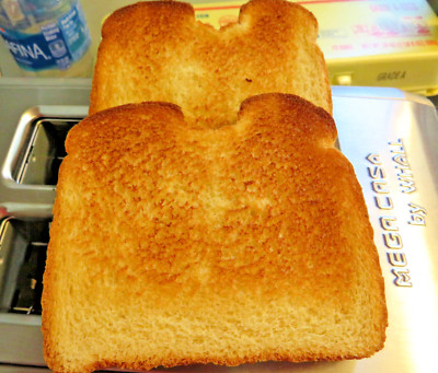 MEGA CASA by WHALL Brushed Stainless Steel Toaster KST022GU | eBay