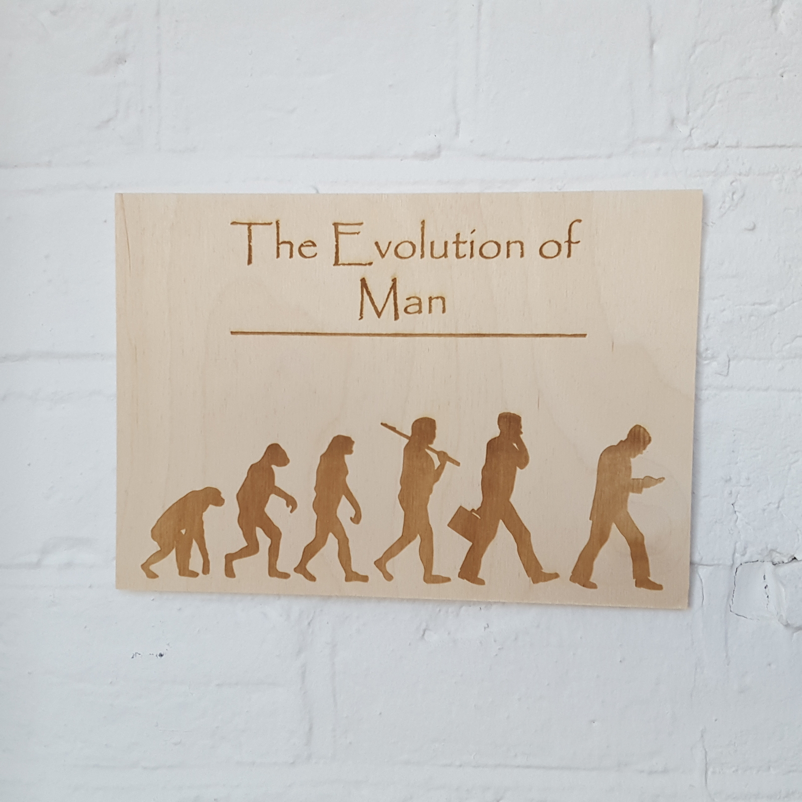 The Evolution of Man Modern Darwin Apes Engraved Wooden wall plaque ...