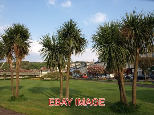 PHOTO ROTHESAY GARDENS PALM TREES AND PUTTING (SCOTLAND STYLE). 2008 | eBay