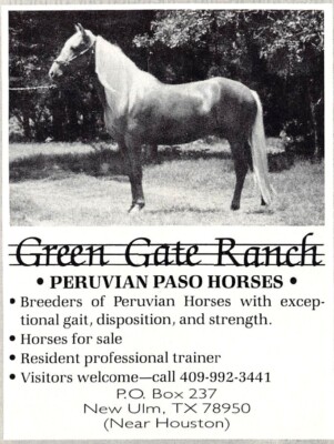 Green Gate Ranch Peruvian Paso Horses New Ulm Texas Vtg Magazine Print ...