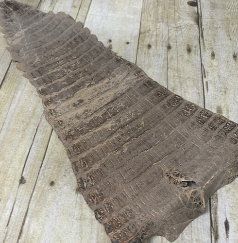 Tan Metallic Genuine Caiman Crocodile Belly Hide Leather Skin Alligator ...