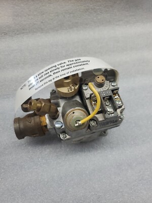Teledyne Laars R0027800 Millivolt LP Propane Gas Pool Heater Valve. | eBay