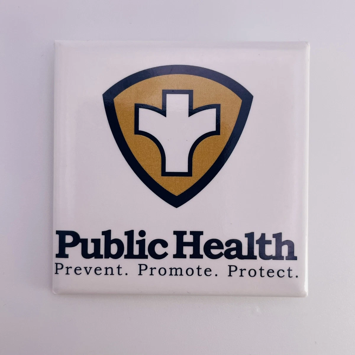 Public Health Prevent Promote Protect