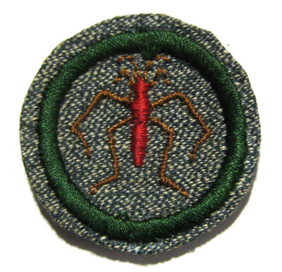 NEW! Girl Scout 1938 FRESH WATER LIFE FINDER BADGE Entomology Insect ...