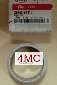 289622B310 Kia Ringseal 289622B310, New Genuine OEM Part | eBay