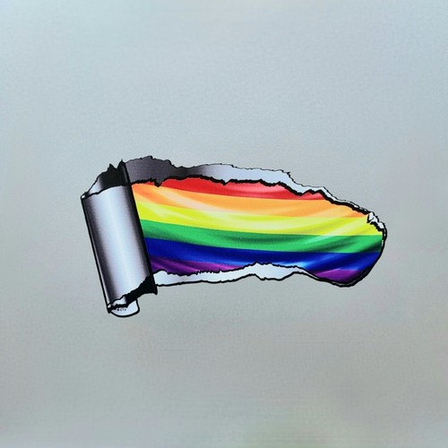 LGBT Gay Pride Flag Ripped Metal Slash Vinyl Sticker Decal For Car Van ...