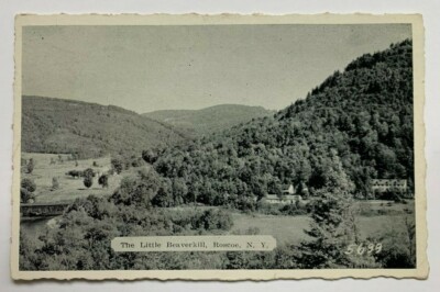 1955 NY Postcard Roscoe New York The Little Beaverkill river Sullivan ...