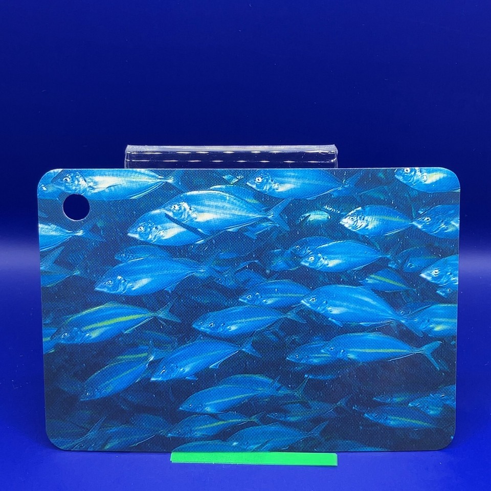 Animal Card Fish Sea Creatures 4.25 x 2.75 Inch Made in Japan Japanese ...