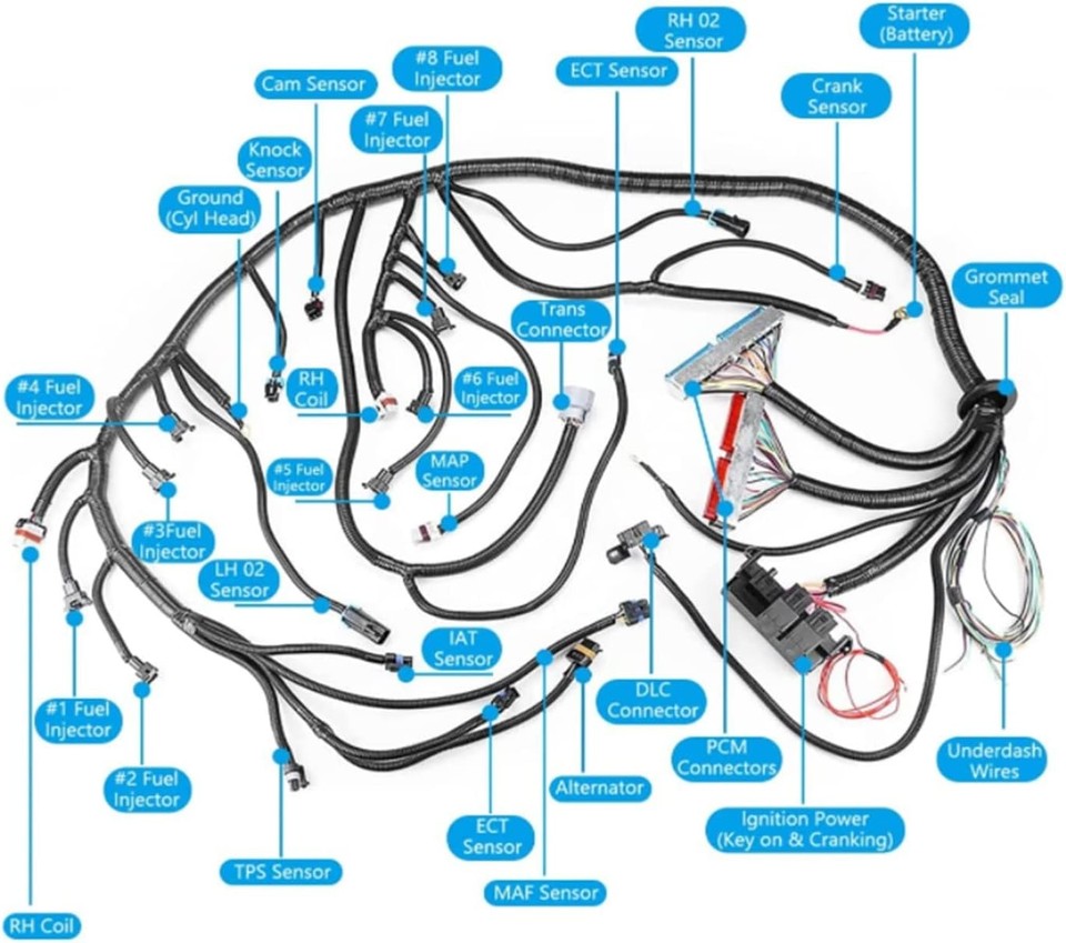 5.3 Wiring Harness ls Engine Wiring Harness Compatible with 1999-2006 ...