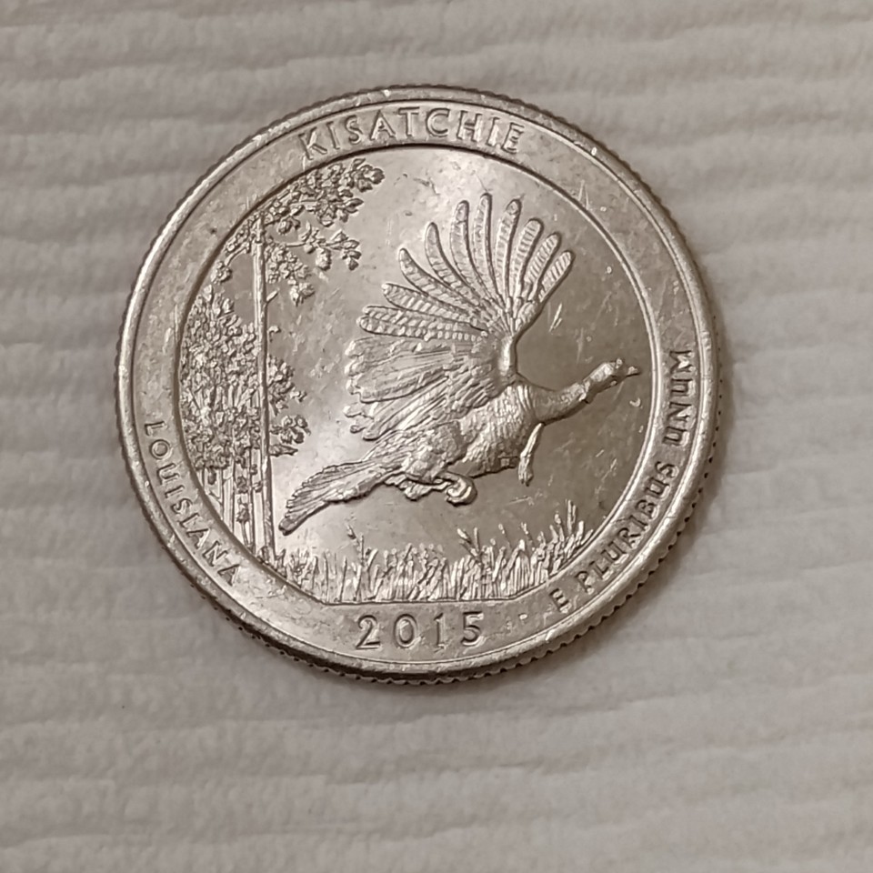 2015 d Washington quarter with errors kisatchie coin nice | eBay