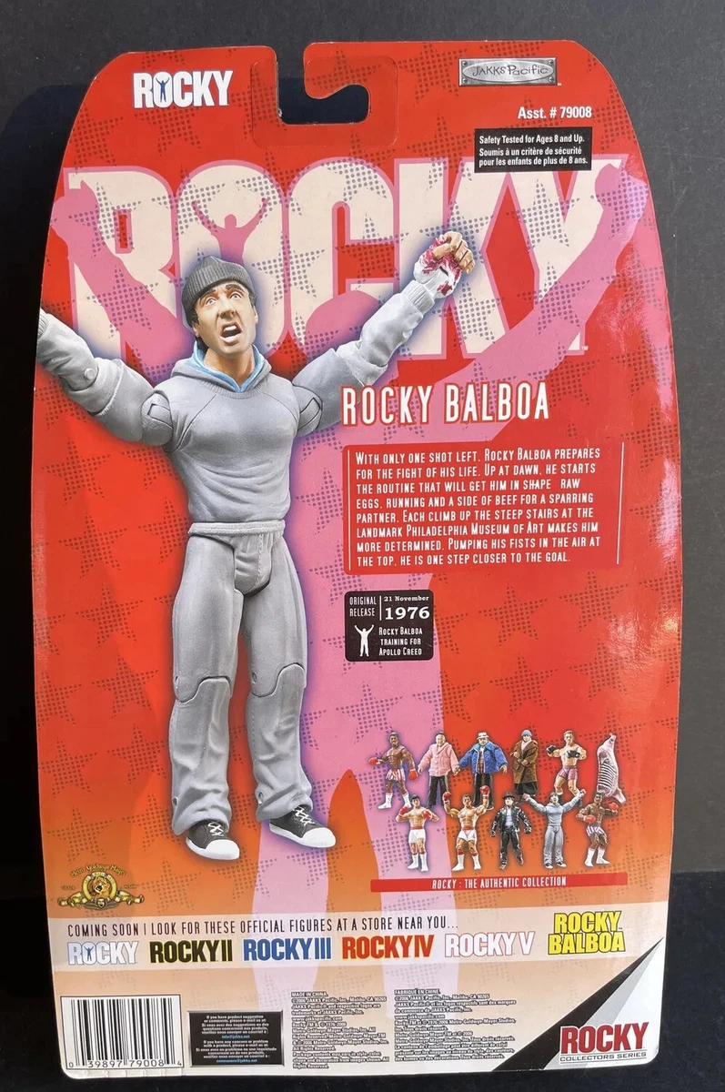 Rocky 5 Training