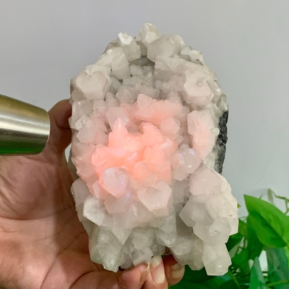1.72LB Natural Transparent White Fluorescent Calcite Crystal Quartz ...