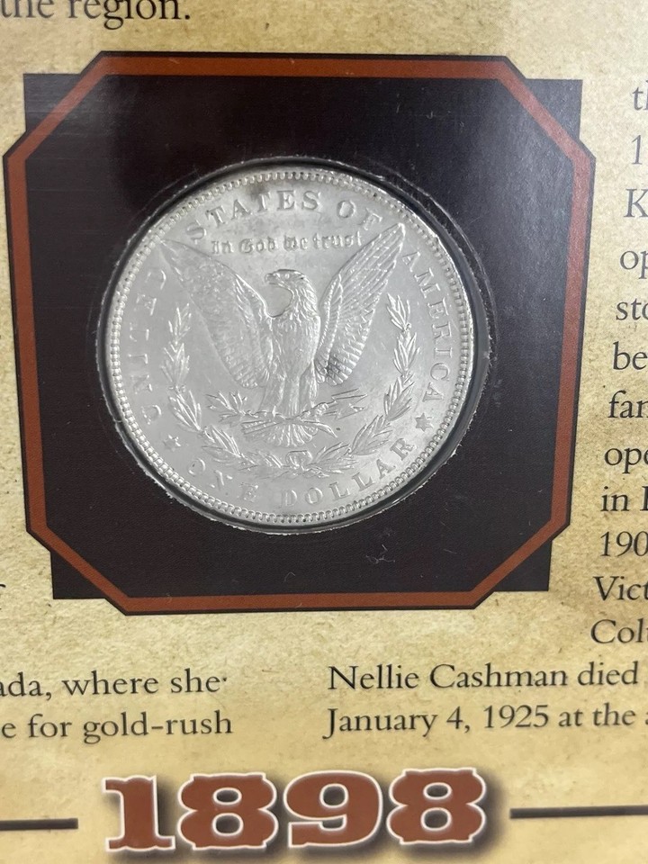 Uncirculated Morgan Silver Dollars of the 19th Century 15 Coin Set #305 ...