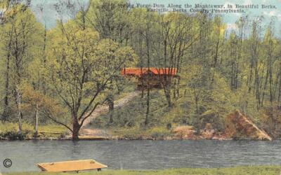 Earlville, PA Pennsylvania SPRING FORGE DAM~RIVER Berks County ca1910's ...