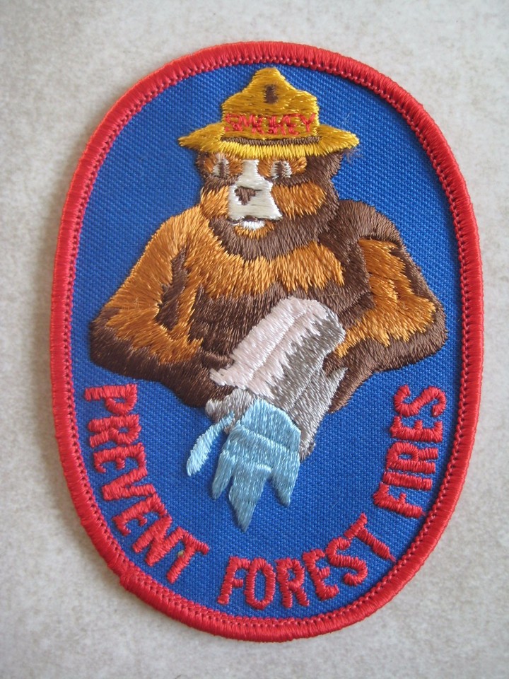 Vintage U.S.F.S. Forest Service Park SMOKEY the BEAR Prevent Fire ...