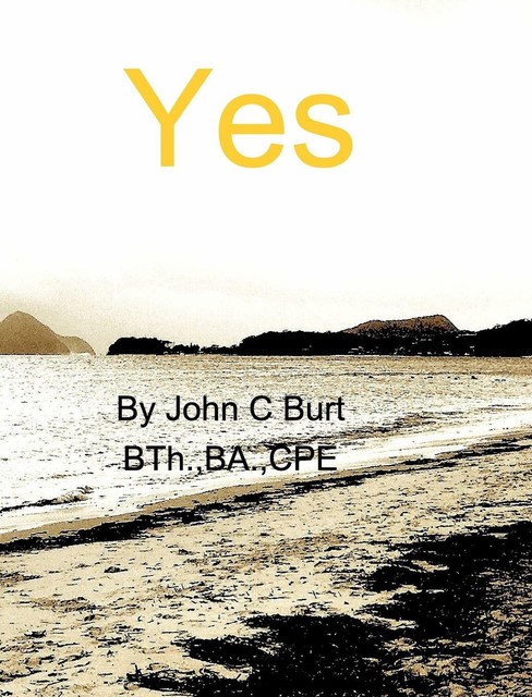 Yes von John C Burt (2021, Gebundene Ausgabe) online kaufen | eBay.de