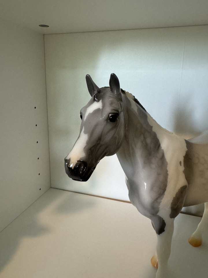 Breyer 2019 Traditional Beau Glossy Warmblood Stallion Braided Mane ...