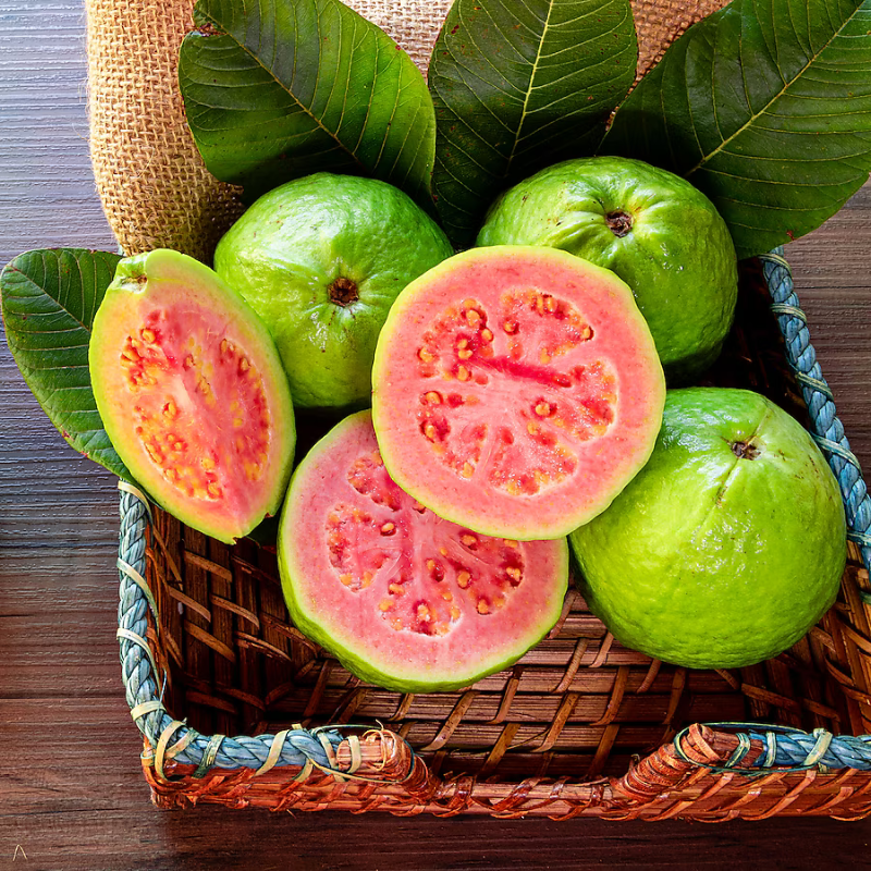 Pink Guava Fruit live Tree Plant Guavas (Ruby Supreme) Tropical Fruit ...