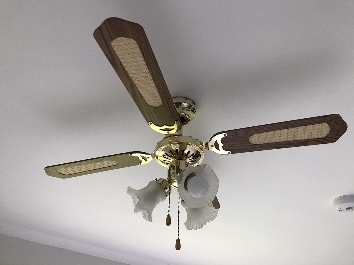 Princess Trio Ceiling Fan | Shelly Lighting