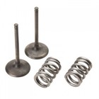 Pro X Steel Intake Valve/Spring Kit 28.SIS3408-2 SUZUKI RMX450Z RMZ450 ...