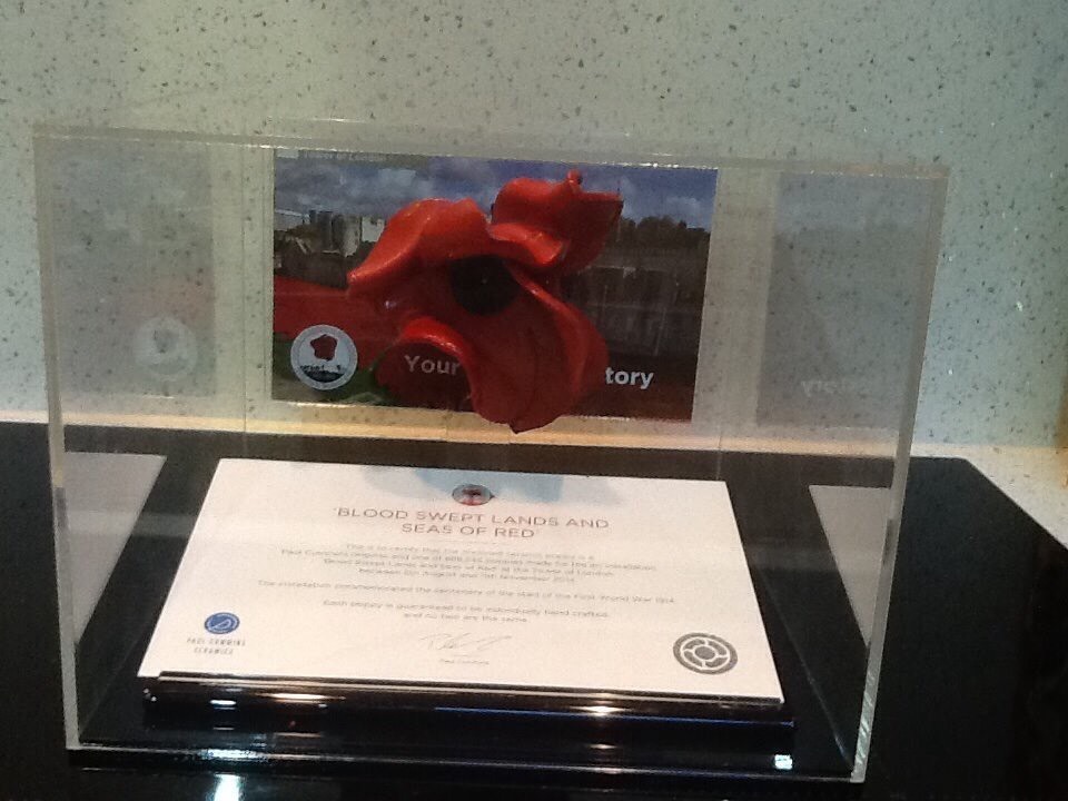 Tower Of London Ceramic Poppy Display Cases | eBay UK