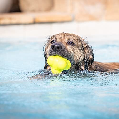 Hyper Pet Fetching Dog Toys - Throwing Bumpy Ball Dog Toy Made with EVA ...