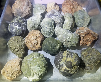 JoNGD: (1-lb LOT) = ( 15 to 19 Uncut Rough Thunderegg Oregon Geode ...